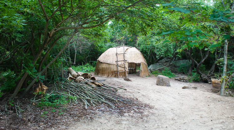9 Amazing DIY Native American Survival Shelters – Survival Frog